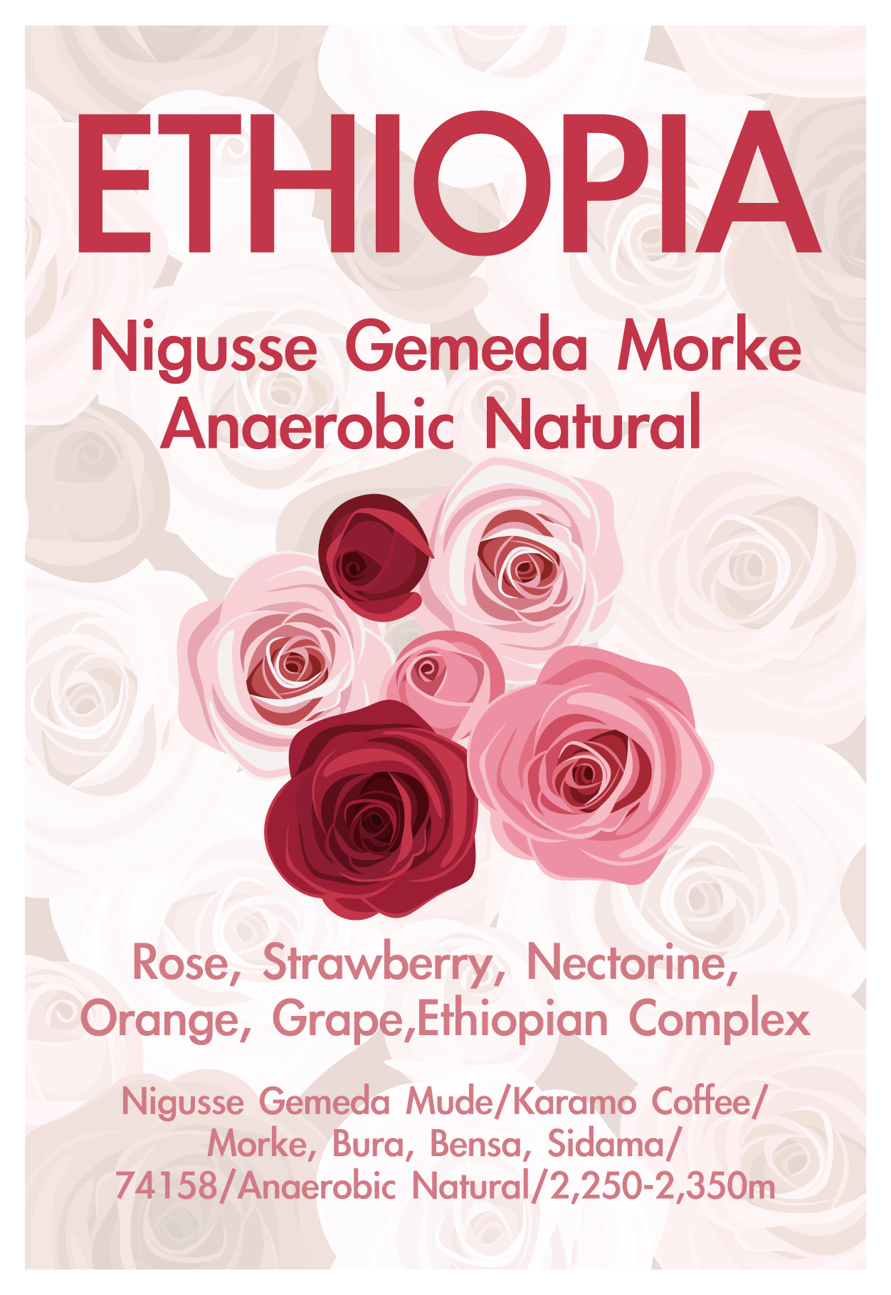 【浅煎り】エチオピア ニグセ・ゲメダ モルケ アナエロビックナチュラル / Ethiopia Nigusse Gemeda Morke AN ...