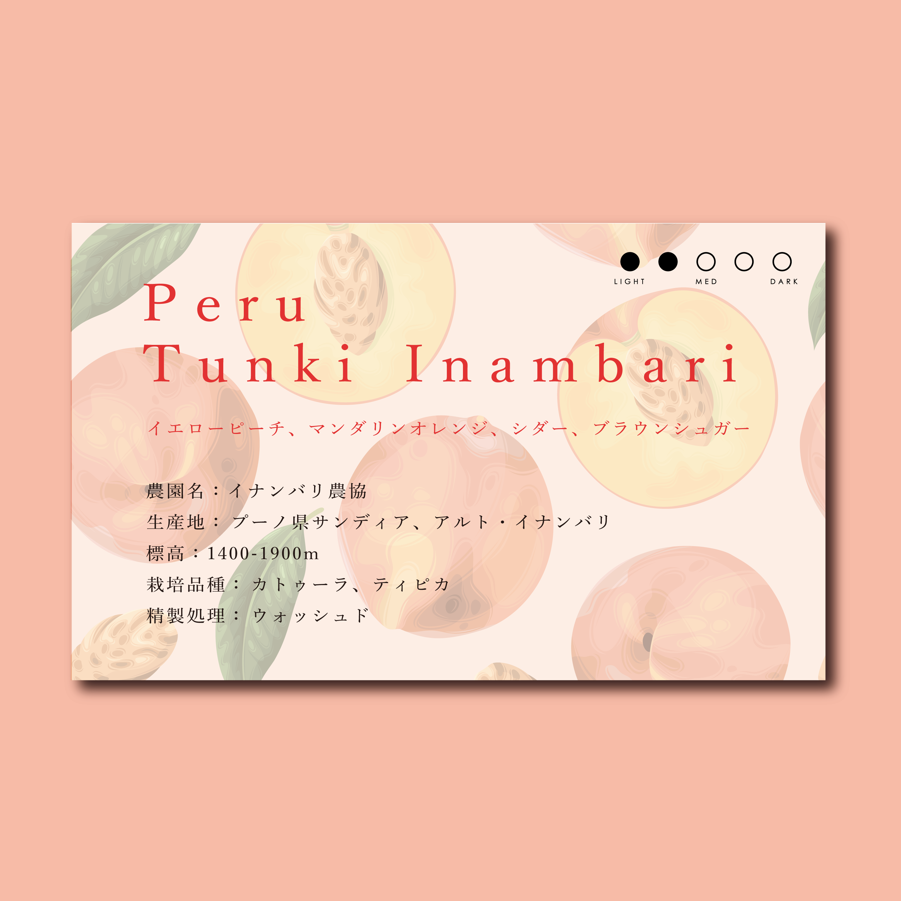 【浅煎り】ペルー-イナンバリ ウォッシュド / Peru Inambari Washed – 日向珈琲
